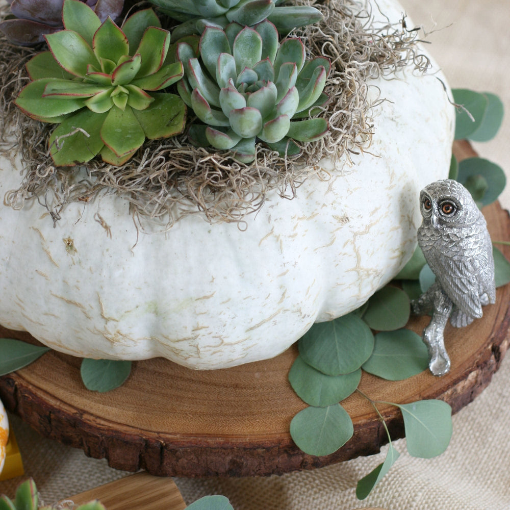 Buy Unique Owl Cheese Stand for Rustic Entertaining | Harvest ...
