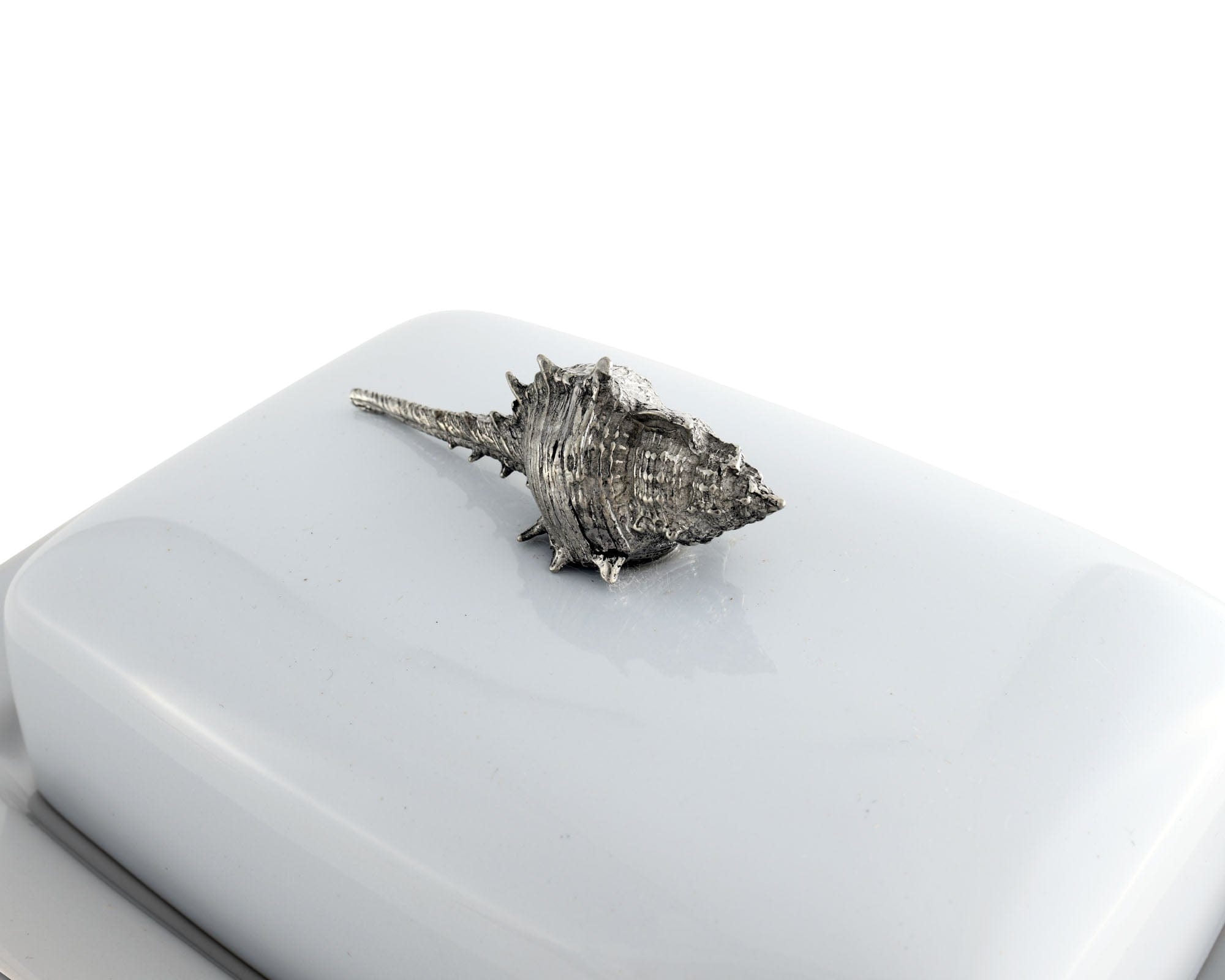 Best Present: Conch Shell Butter Dish for Sophisticated Maritime ...